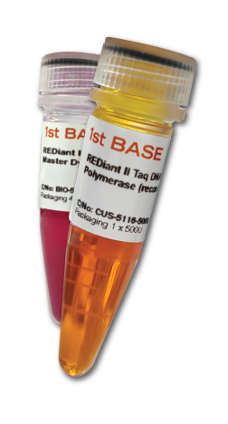 1st BASE – Your Research, Our Business